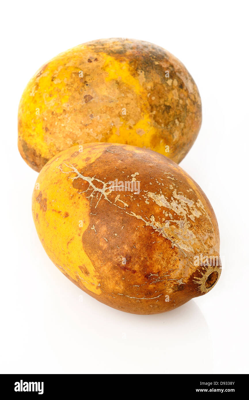 ripe bael fruit on white background Stock Photo - Alamy