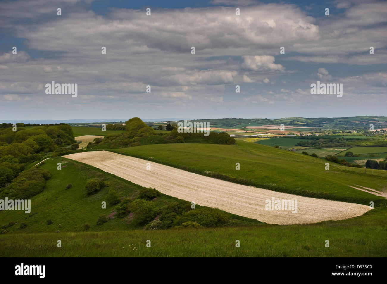 Chillerton Down on the Isle of Wight, UK Stock Photo - Alamy