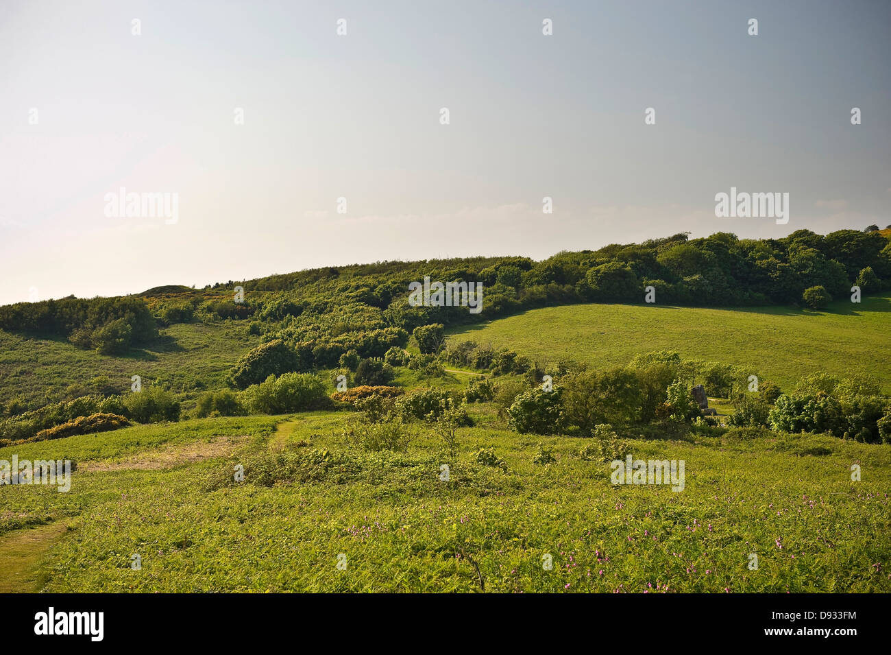 Mottistone isle of wight hi-res stock photography and images - Alamy