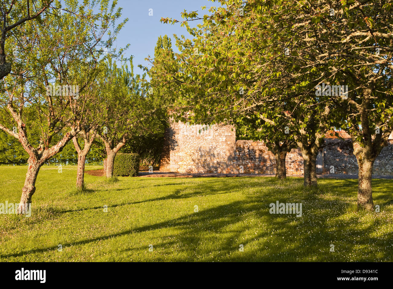 Manicured Trees Lawn High Resolution Stock Photography and Images - Alamy