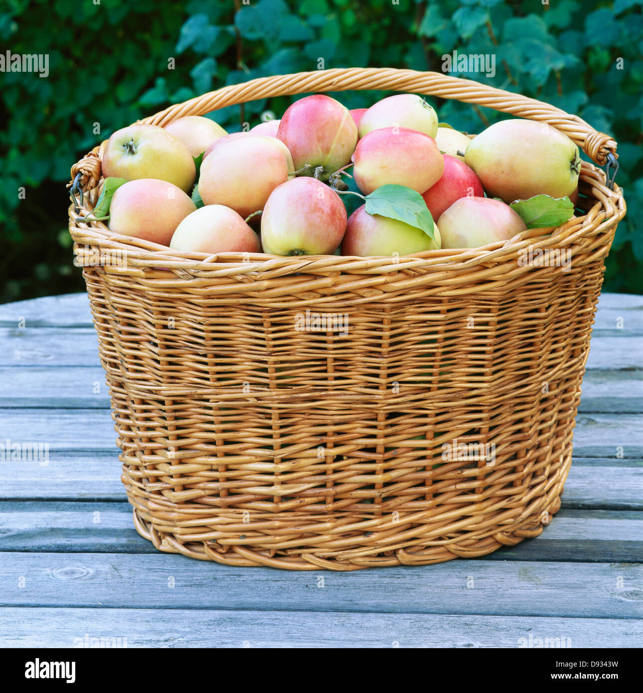 Basket full of apples, close-up Stock Photo - Alamy