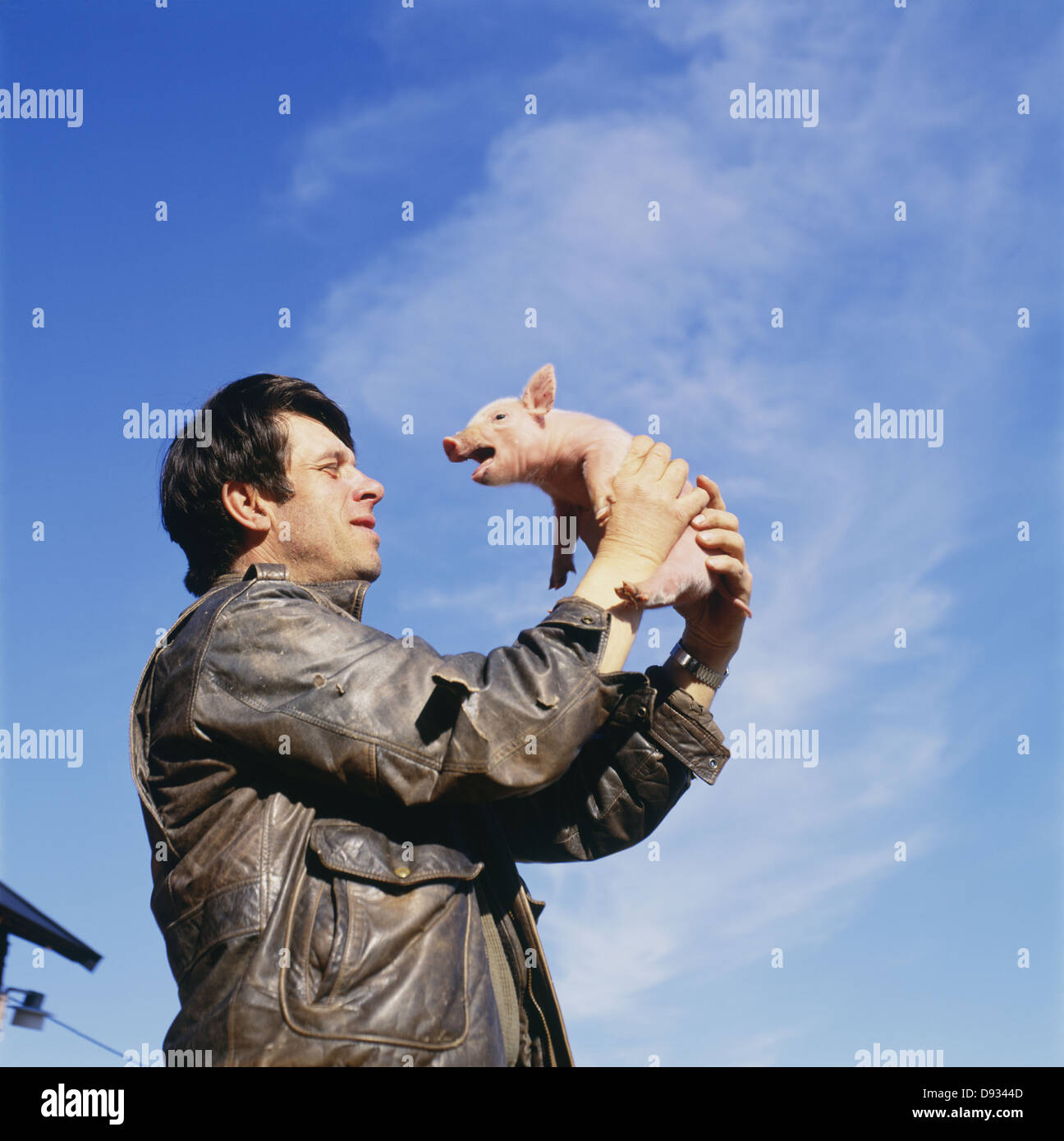 Man holding piglet in hands, side view Stock Photo - Alamy
