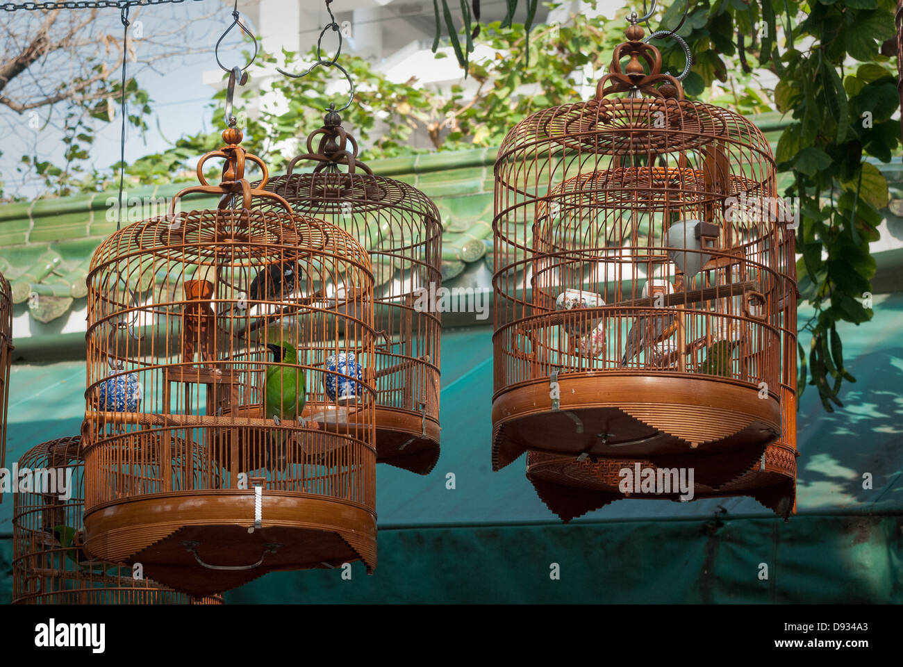 Birds in cages Stock Photo - Alamy