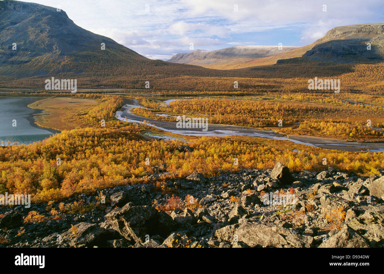 Water flowing through field Stock Photo - Alamy