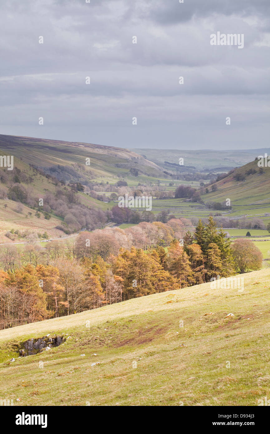 Littondale in the Yorkshire Dales Stock Photo - Alamy