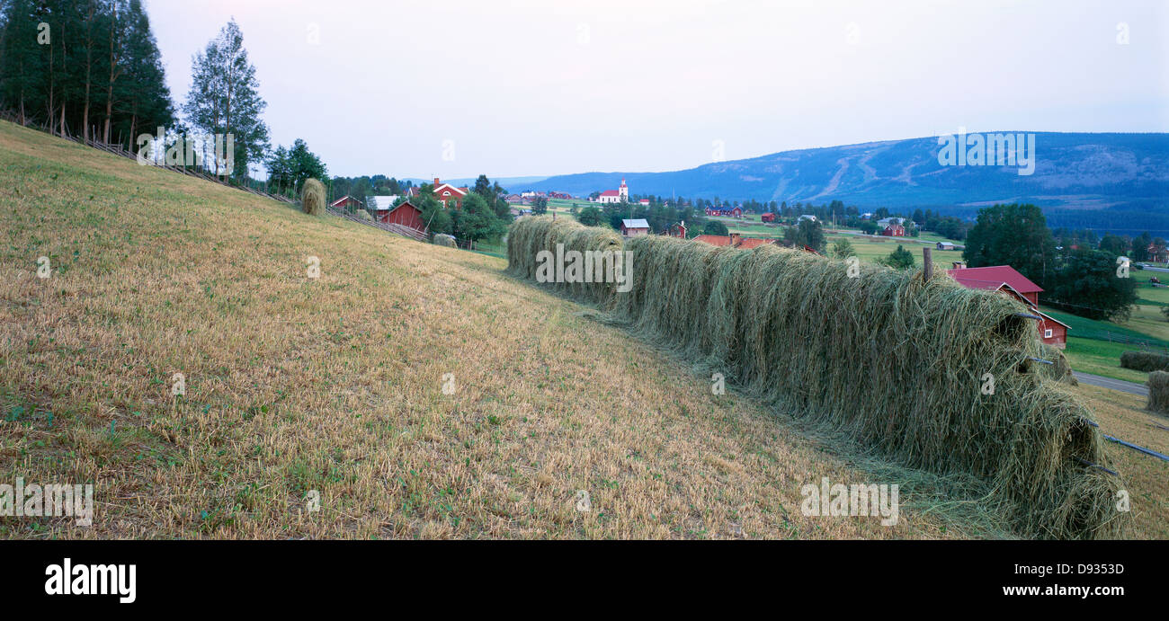 Hay drying racks hi-res stock photography and images - Alamy