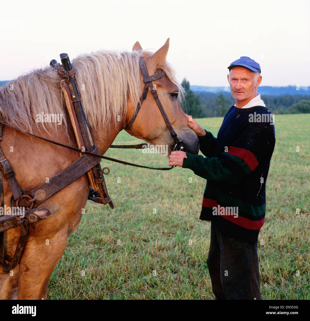 Man Holding Horse High Resolution Stock Photography and Images - Alamy