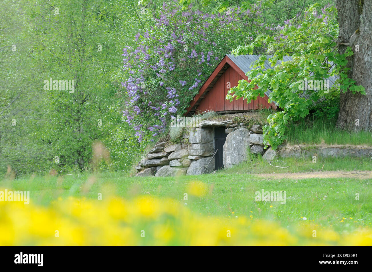 Á stone basement, Sweden Stock Photo - Alamy