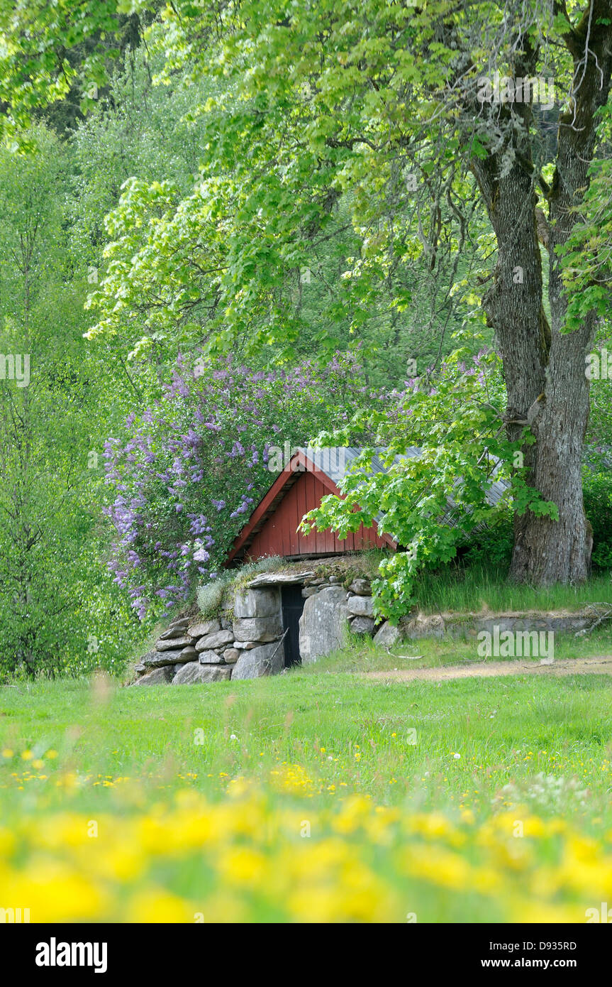 Á stone basement, Sweden Stock Photo - Alamy