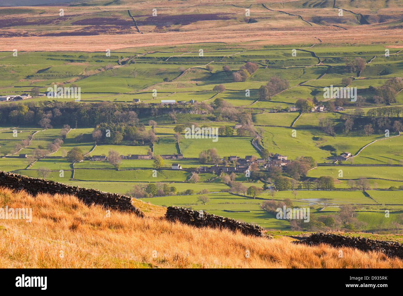 Askrigg Common in the Yorkshire Dales national park Stock Photo - Alamy