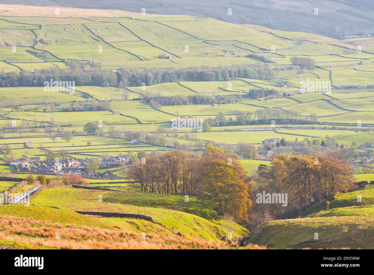 Askrigg Common in the Yorkshire Dales national park Stock Photo - Alamy
