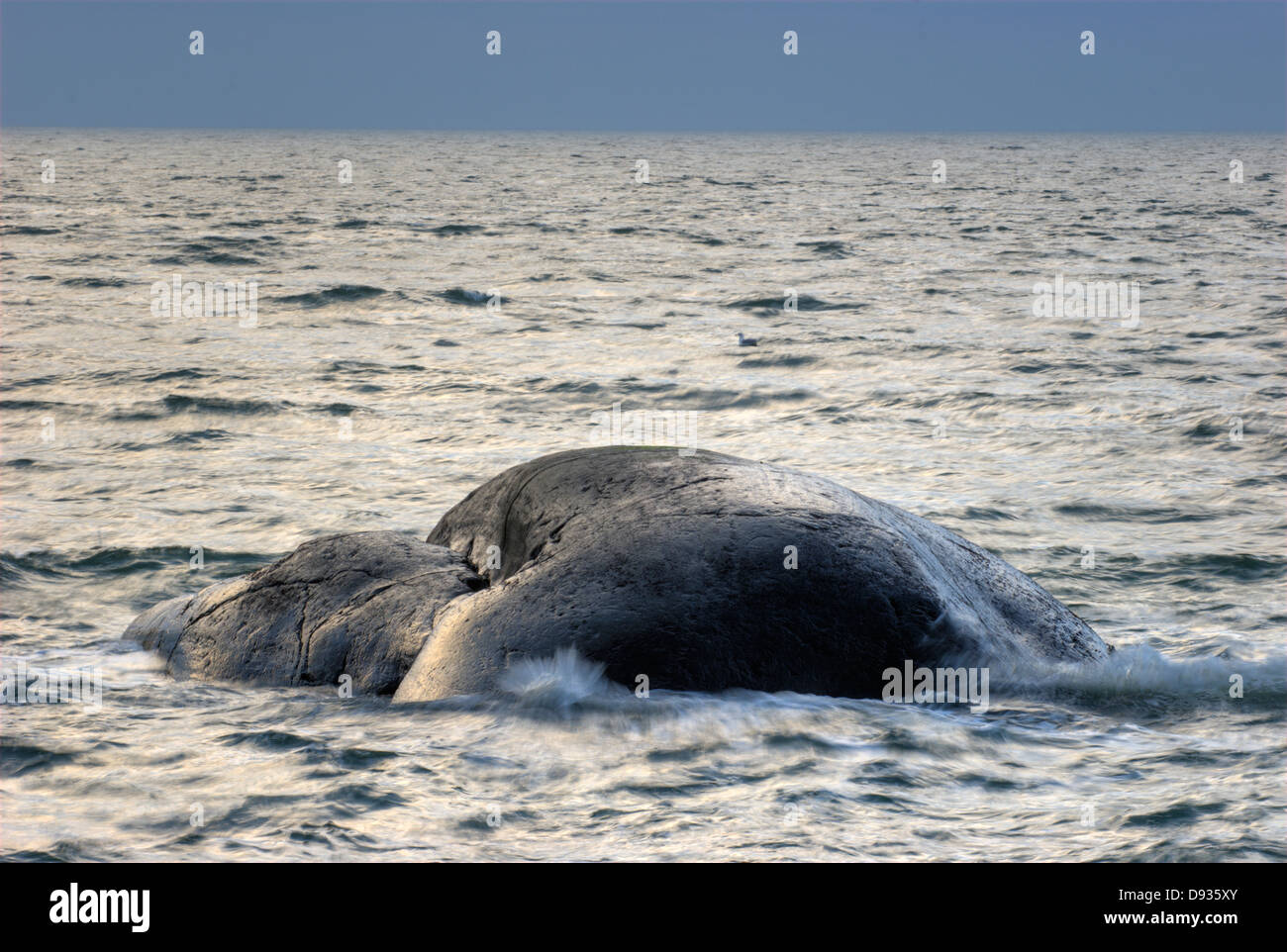 A clif in the ocean, Vastkusten, Sweden Stock Photo - Alamy