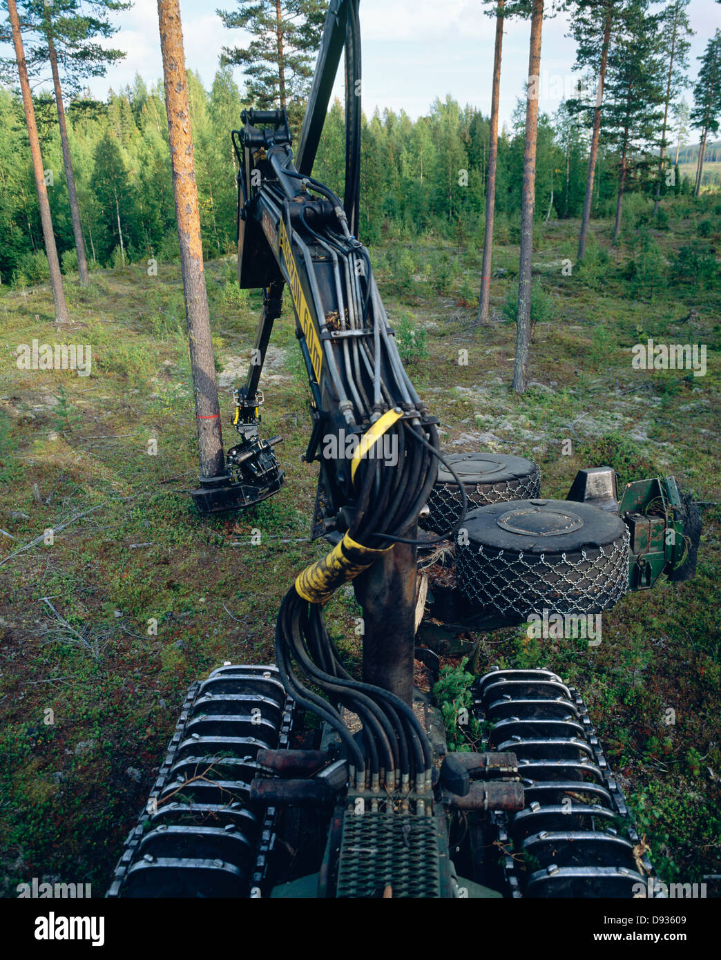 Crane uprooting tree in jungle, elevated view Stock Photo - Alamy