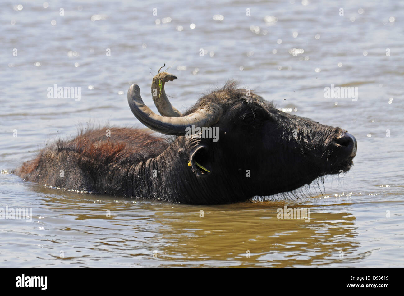 Strimonas river hi-res stock photography and images - Alamy