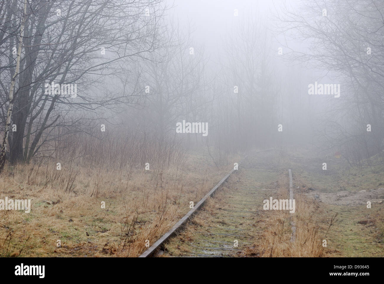 Railway tracks in fog hi-res stock photography and images - Alamy