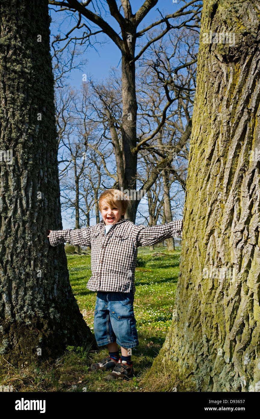 Two oak trees hi-res stock photography and images - Alamy