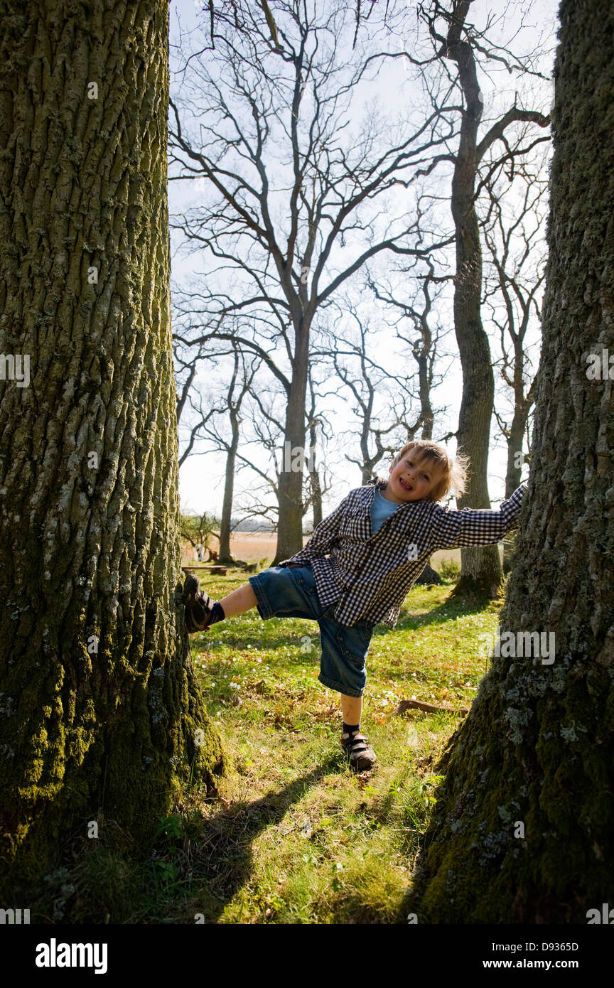 A boy and two oak-trees, Sweden Stock Photo - Alamy