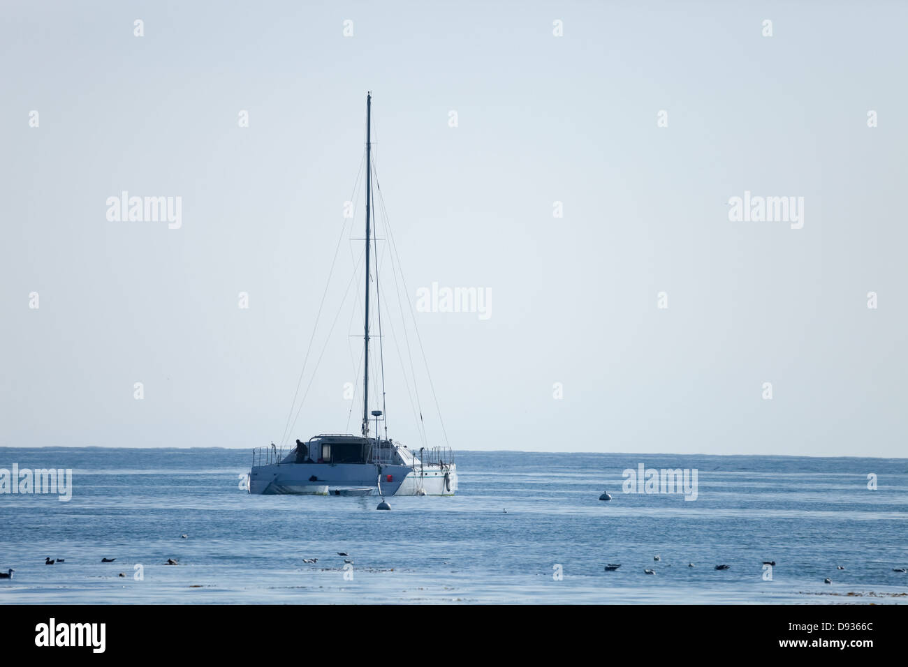 The Sailboat on the Sea Stock Photo - Alamy