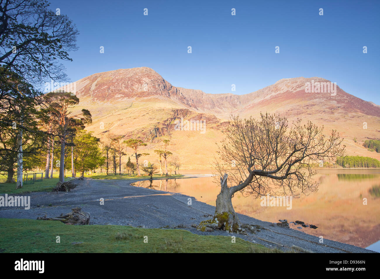 Buttermere lake on a still spring morning Stock Photo - Alamy