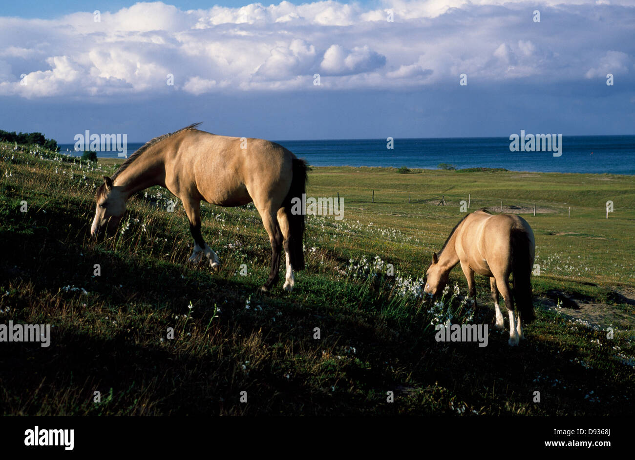 Open landscape hi-res stock photography and images - Alamy