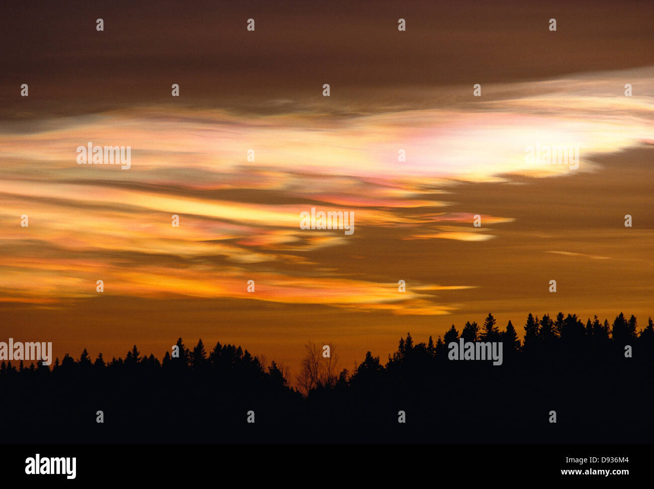 Polar stratospheric clouds over forest Stock Photo - Alamy
