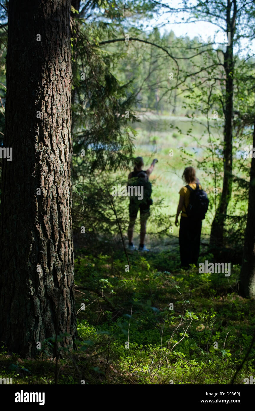 Hikers in a forest, Sweden Stock Photo - Alamy