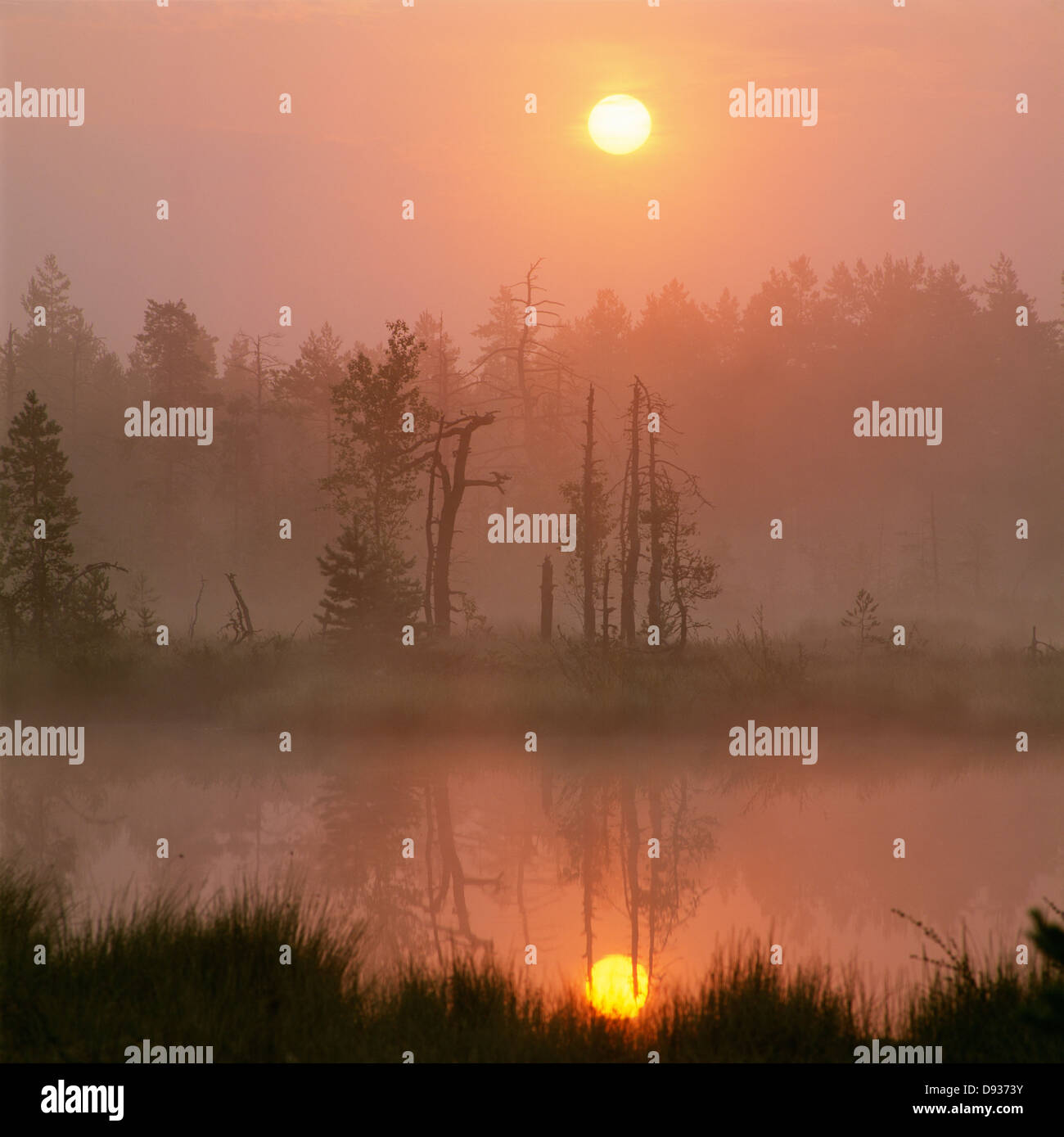 Reflection of sun in lake at dusk Stock Photo - Alamy