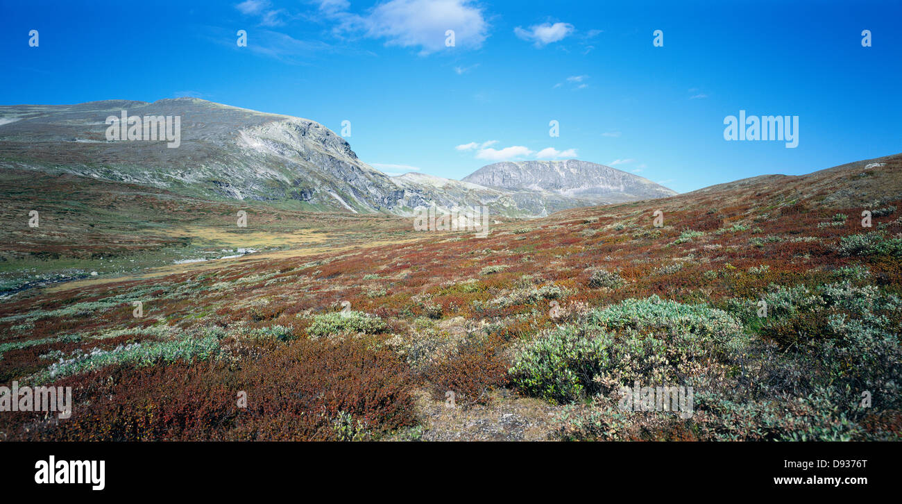 Moor with mountains in the background Stock Photo - Alamy