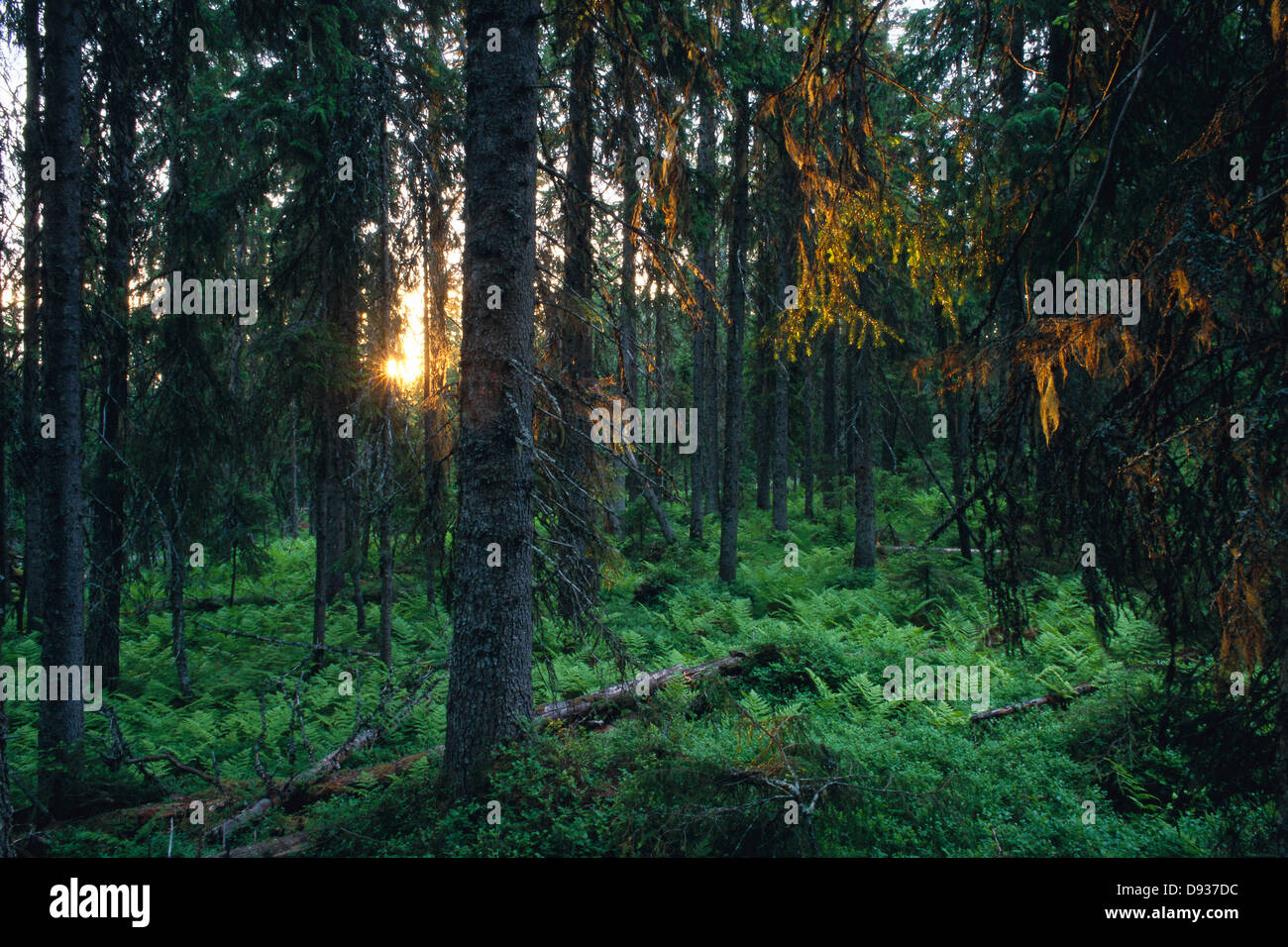 Virgin people hi-res stock photography and images - Alamy