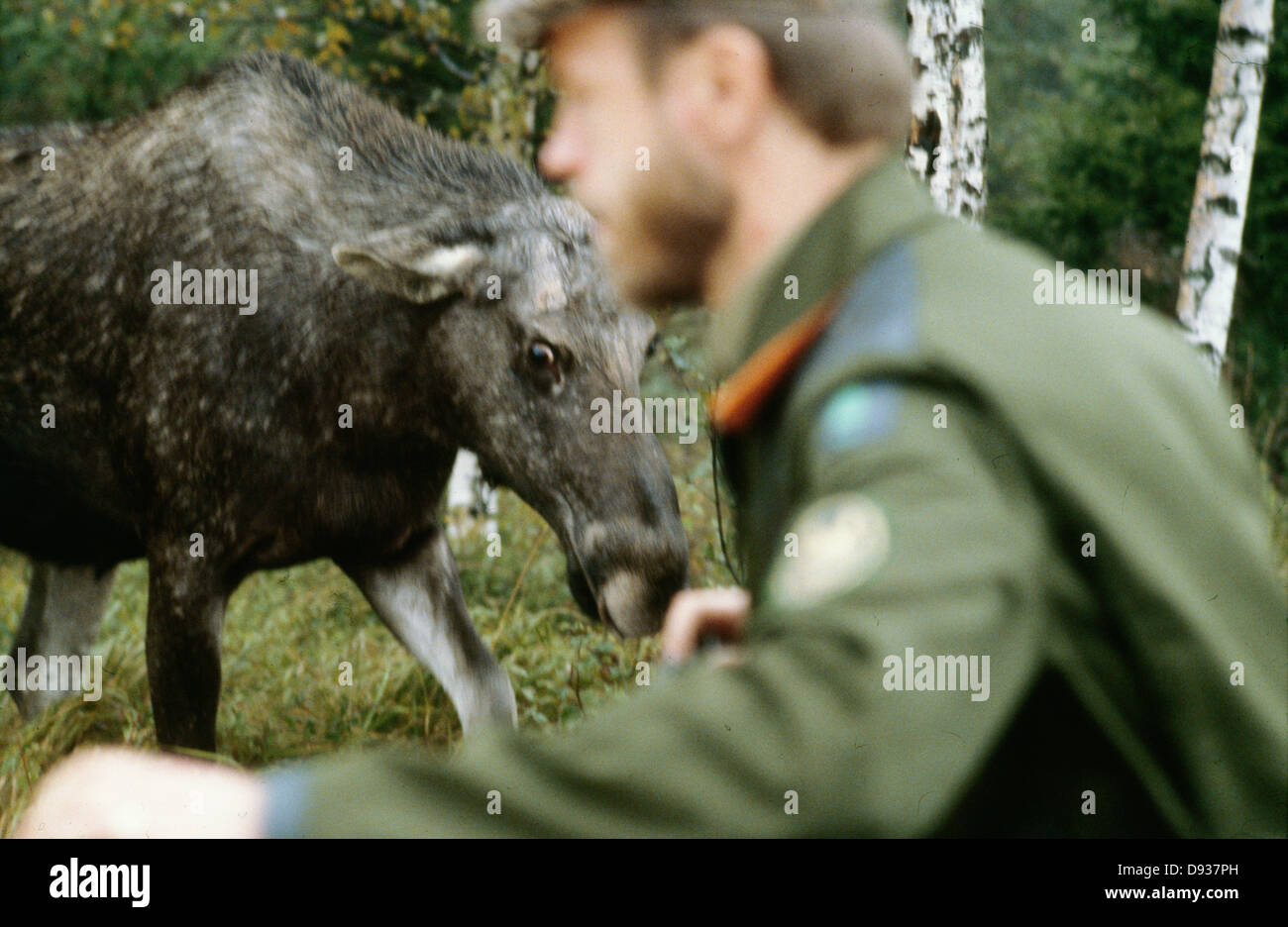 Man with anIMAl in forest Stock Photo - Alamy