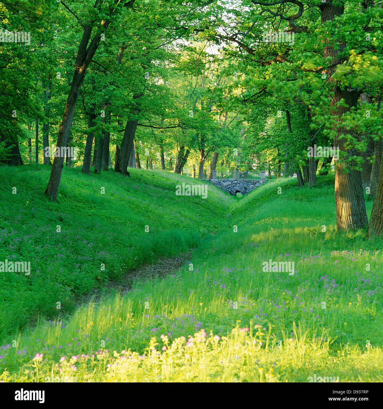 Watercourse in lush park Stock Photo - Alamy