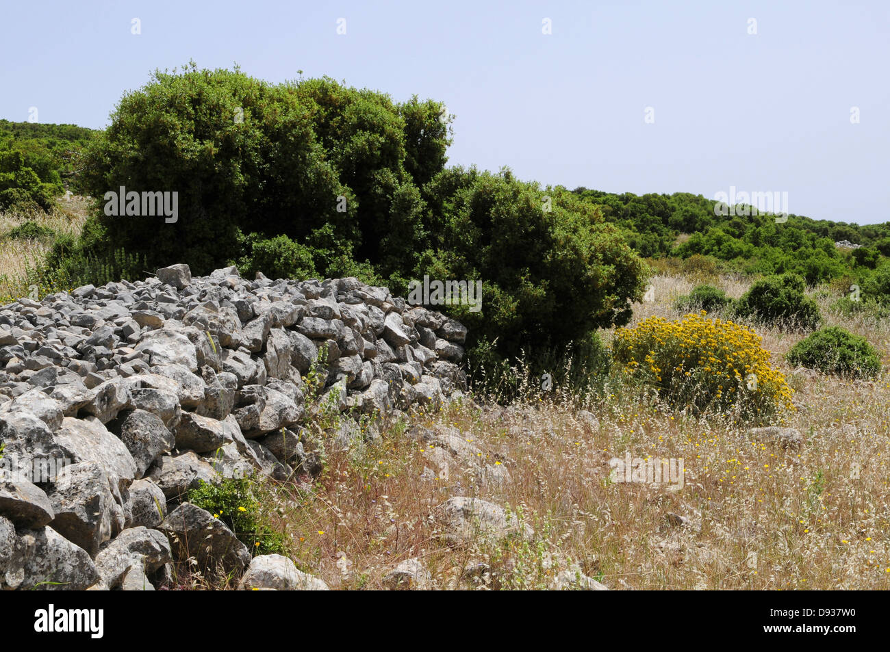 Argolis peloponnese hi-res stock photography and images - Alamy