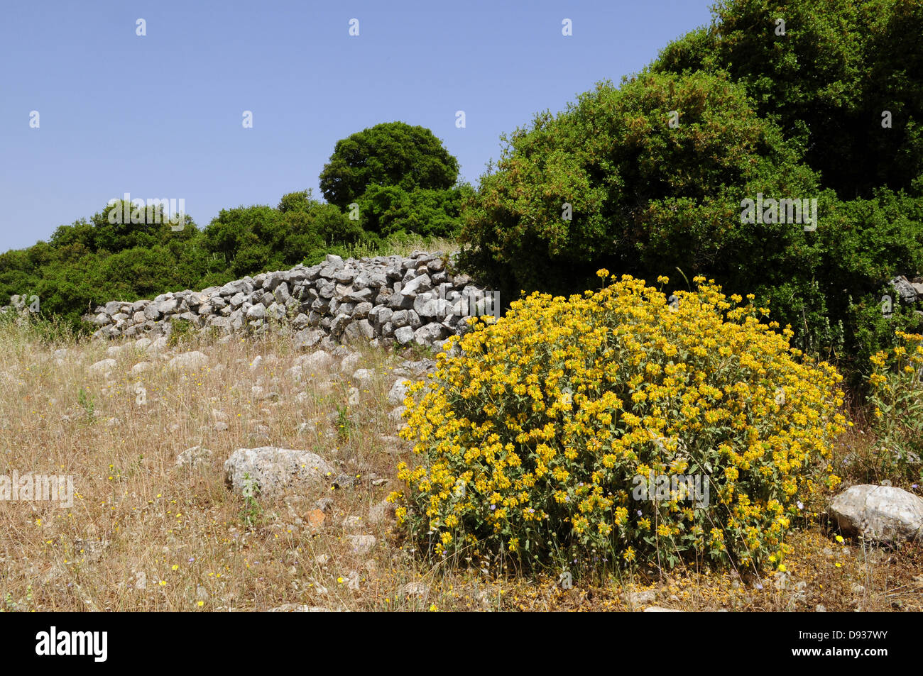 Landscape, Argolis, Peloponnese, Greece Stock Photo - Alamy