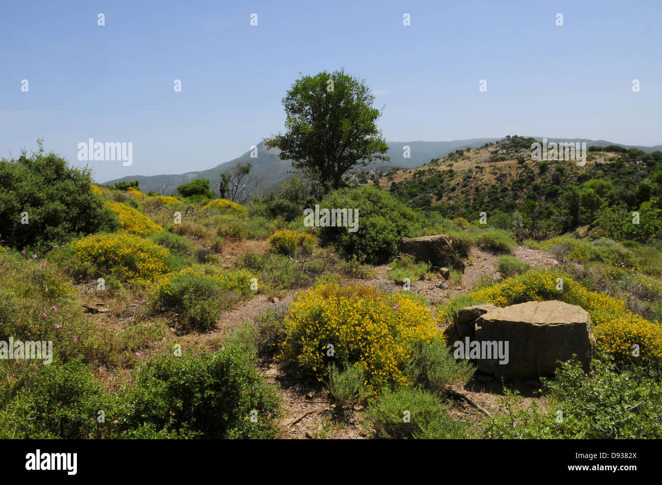 Argolis peloponnese hi-res stock photography and images - Alamy