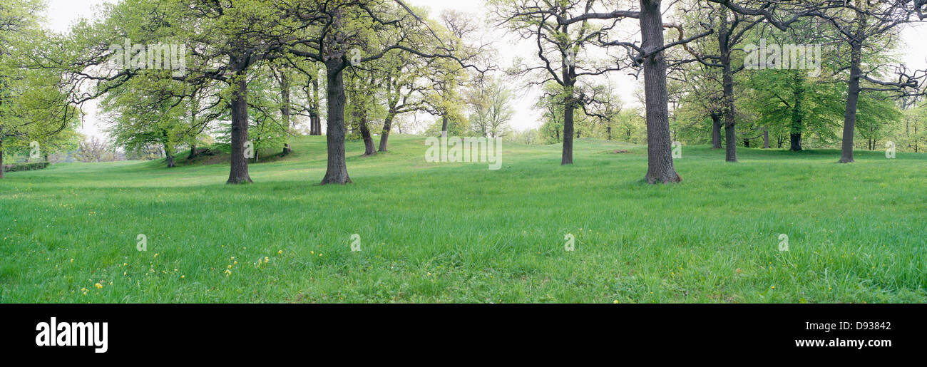 View of park Stock Photo - Alamy