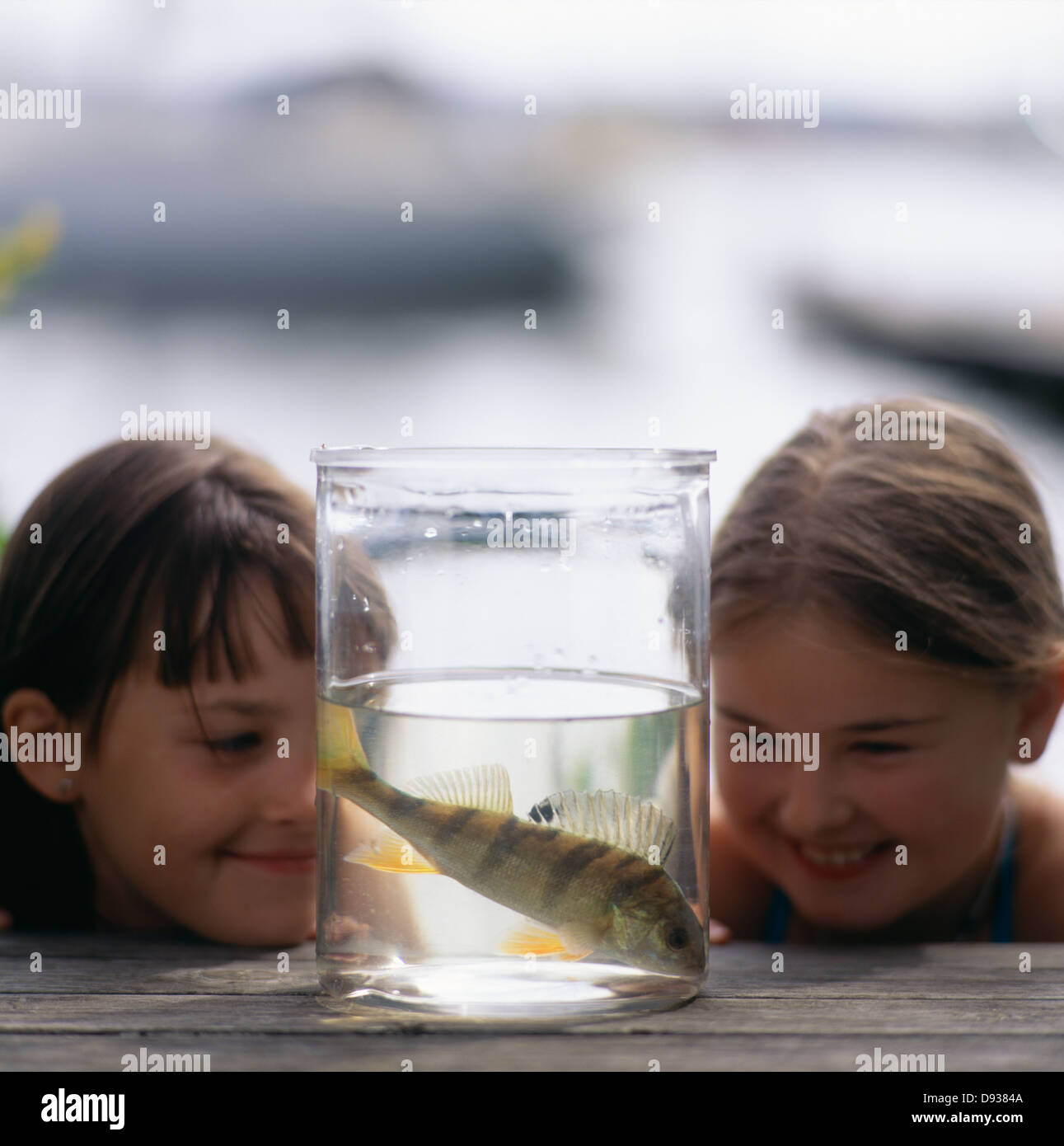 Girls looking at fish Stock Photo - Alamy