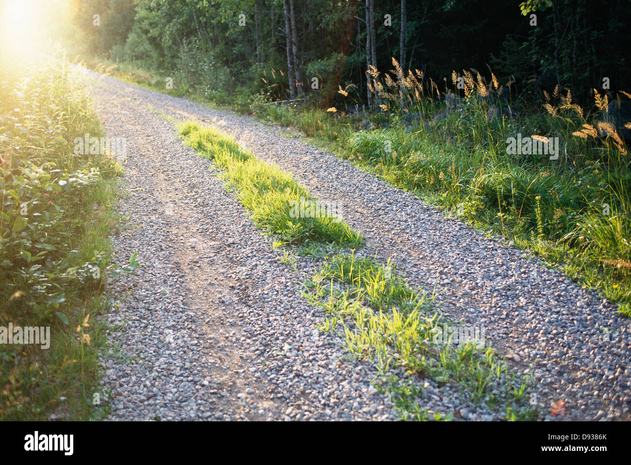Road sweden hi-res stock photography and images - Alamy