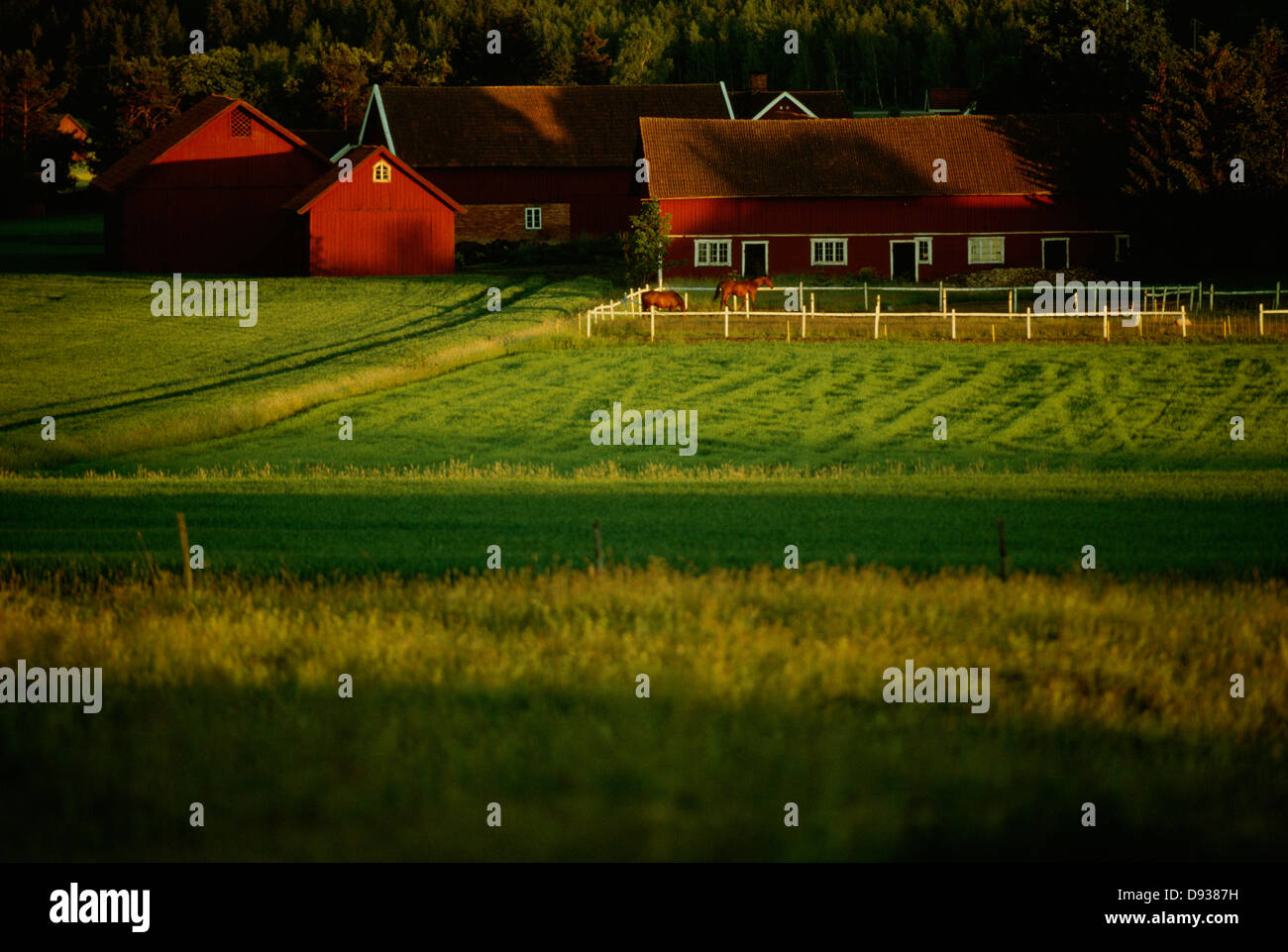 View of village with houses Stock Photo - Alamy
