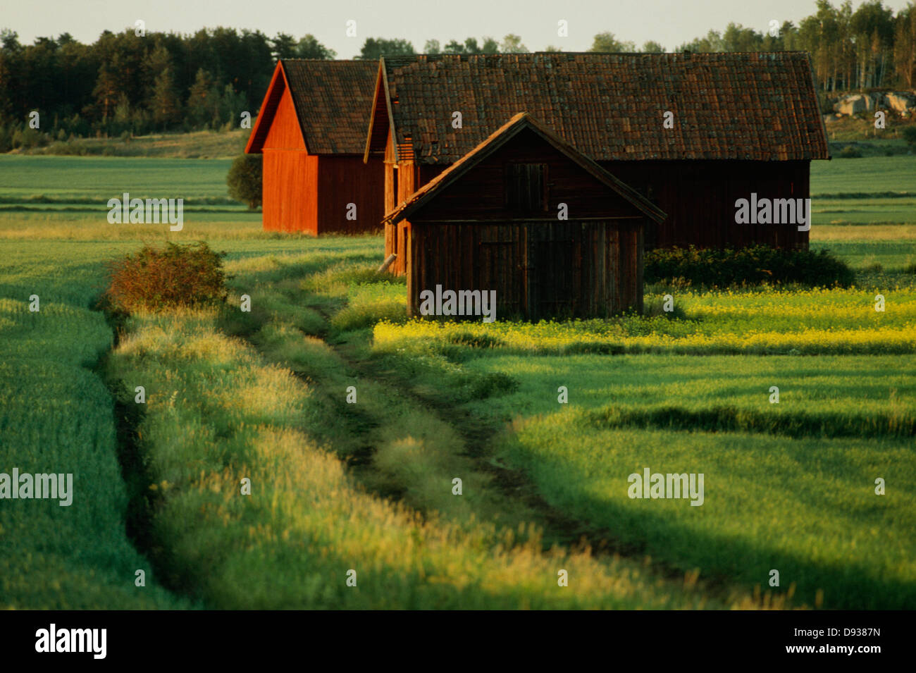 View of farm with houses Stock Photo - Alamy