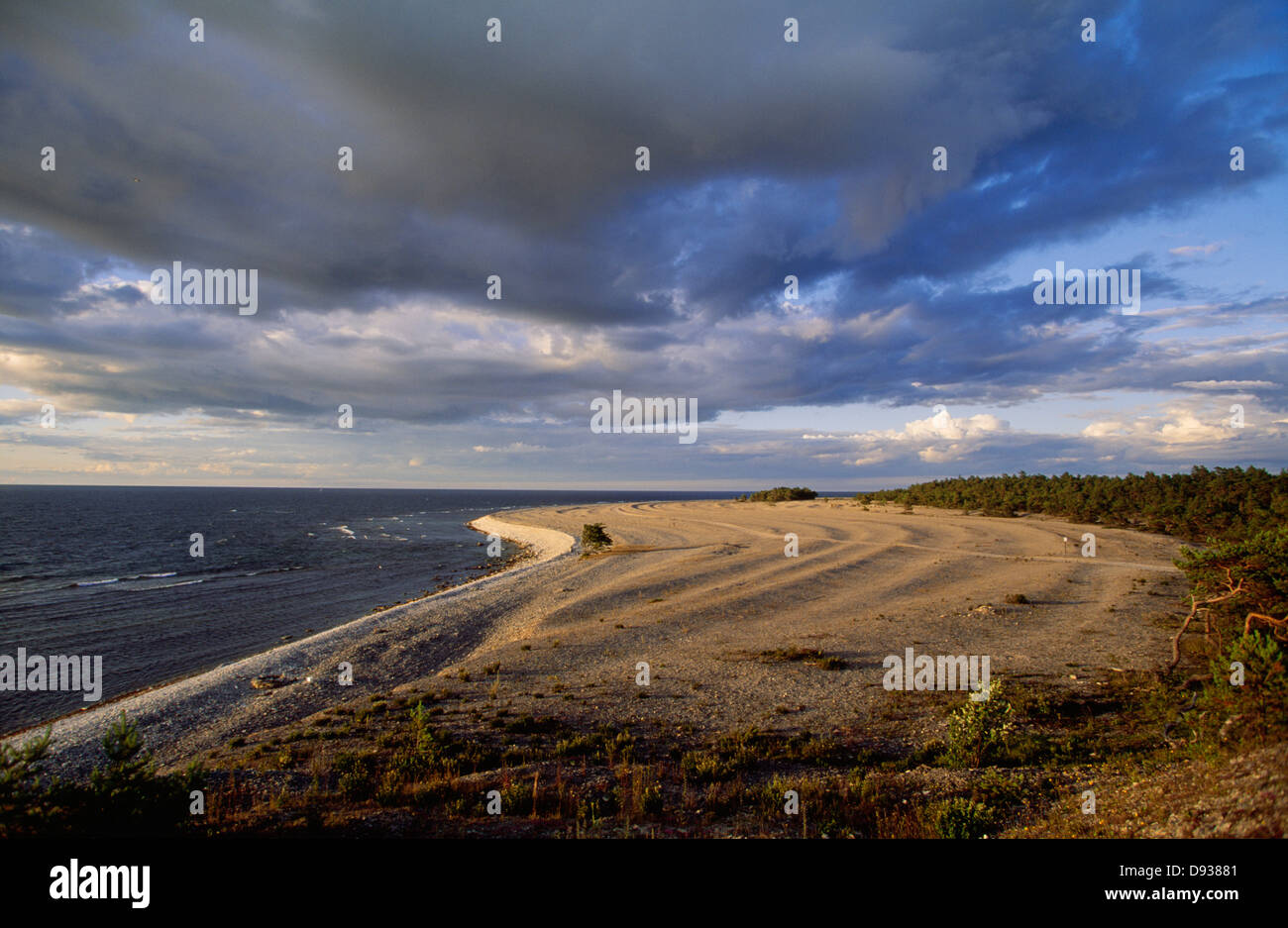 Pebble beach of gotland hi-res stock photography and images - Alamy