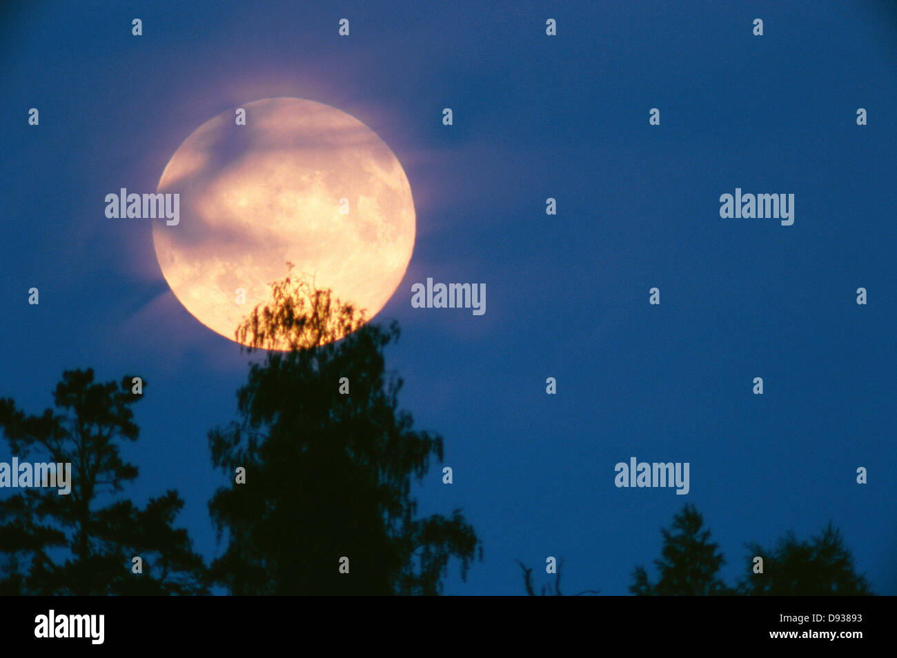 Full moon, Sweden Stock Photo - Alamy