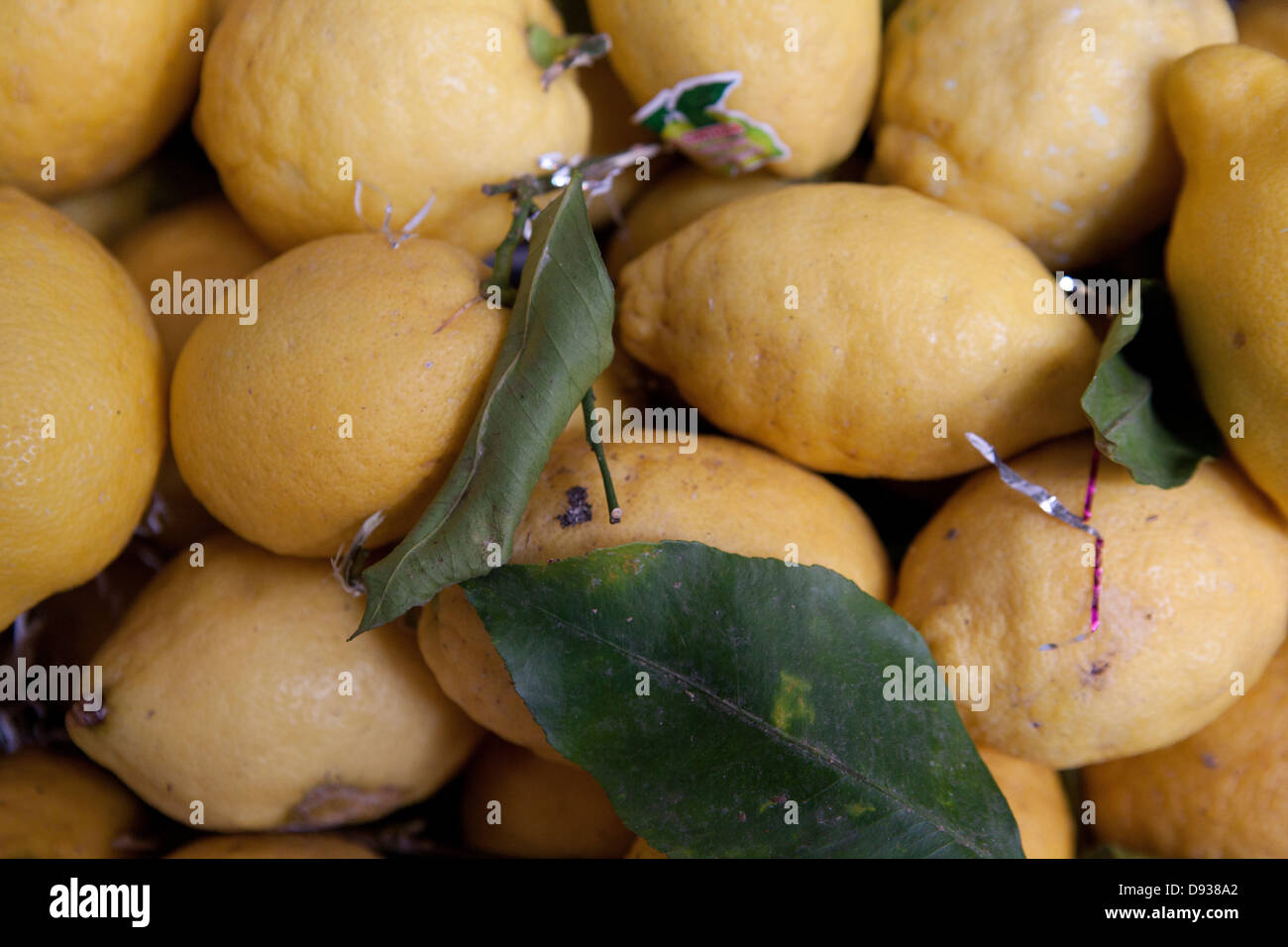 Lemons leaves hi-res stock photography and images - Alamy