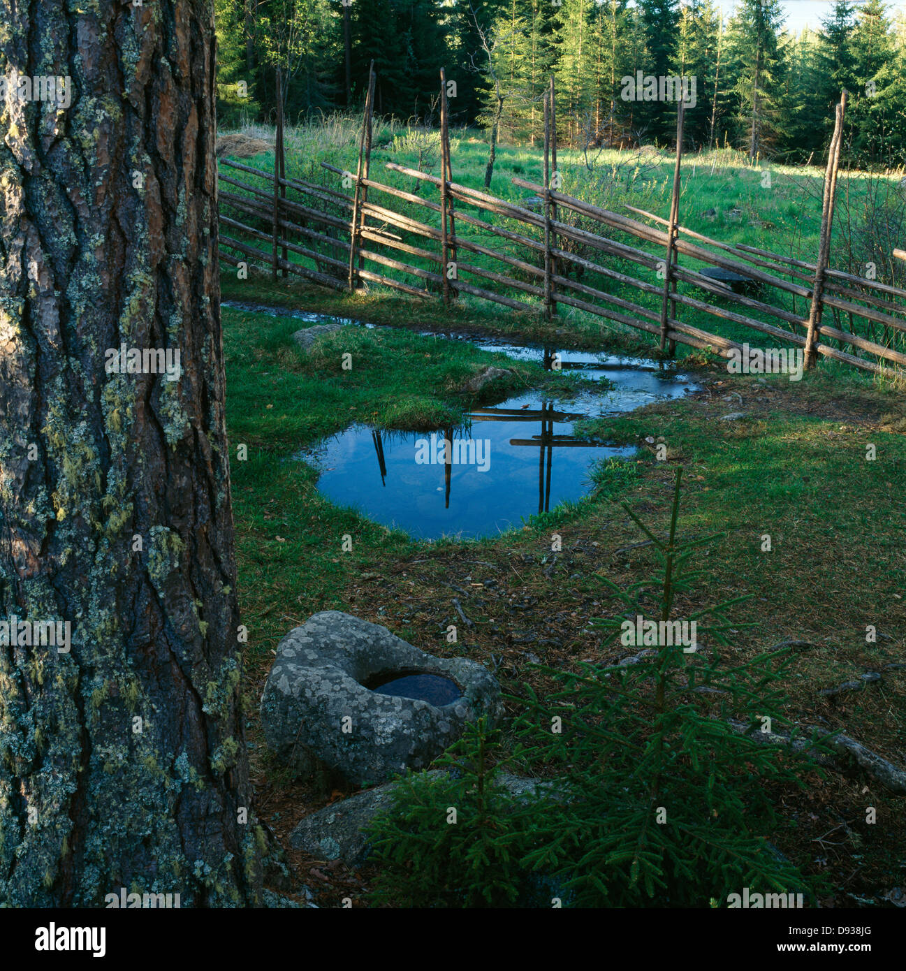 Source field hi-res stock photography and images - Alamy