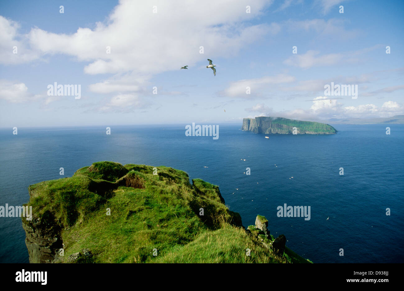 View of sea and small islands with birds flying overhead Stock Photo ...