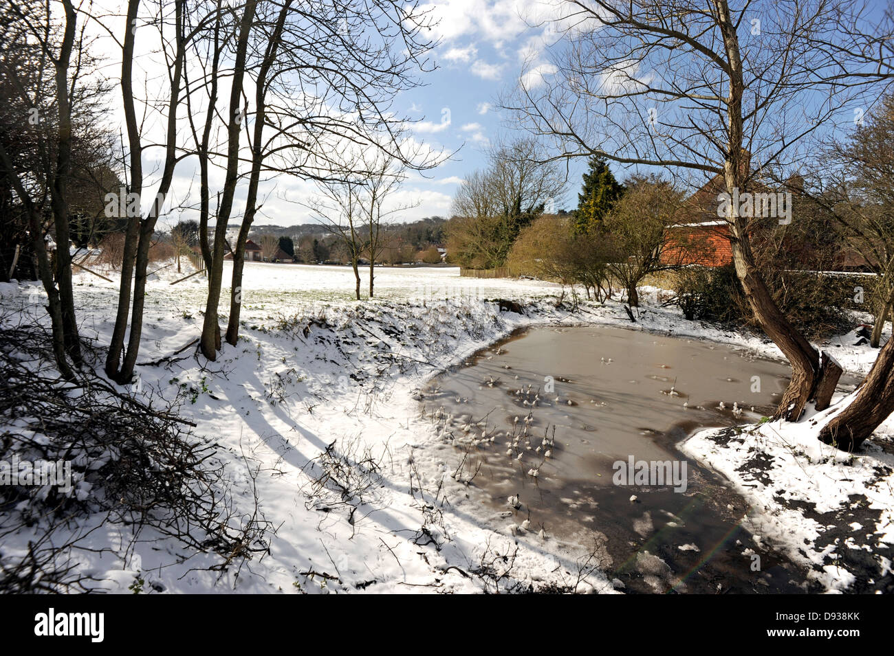 Frozen small pond hi-res stock photography and images - Alamy