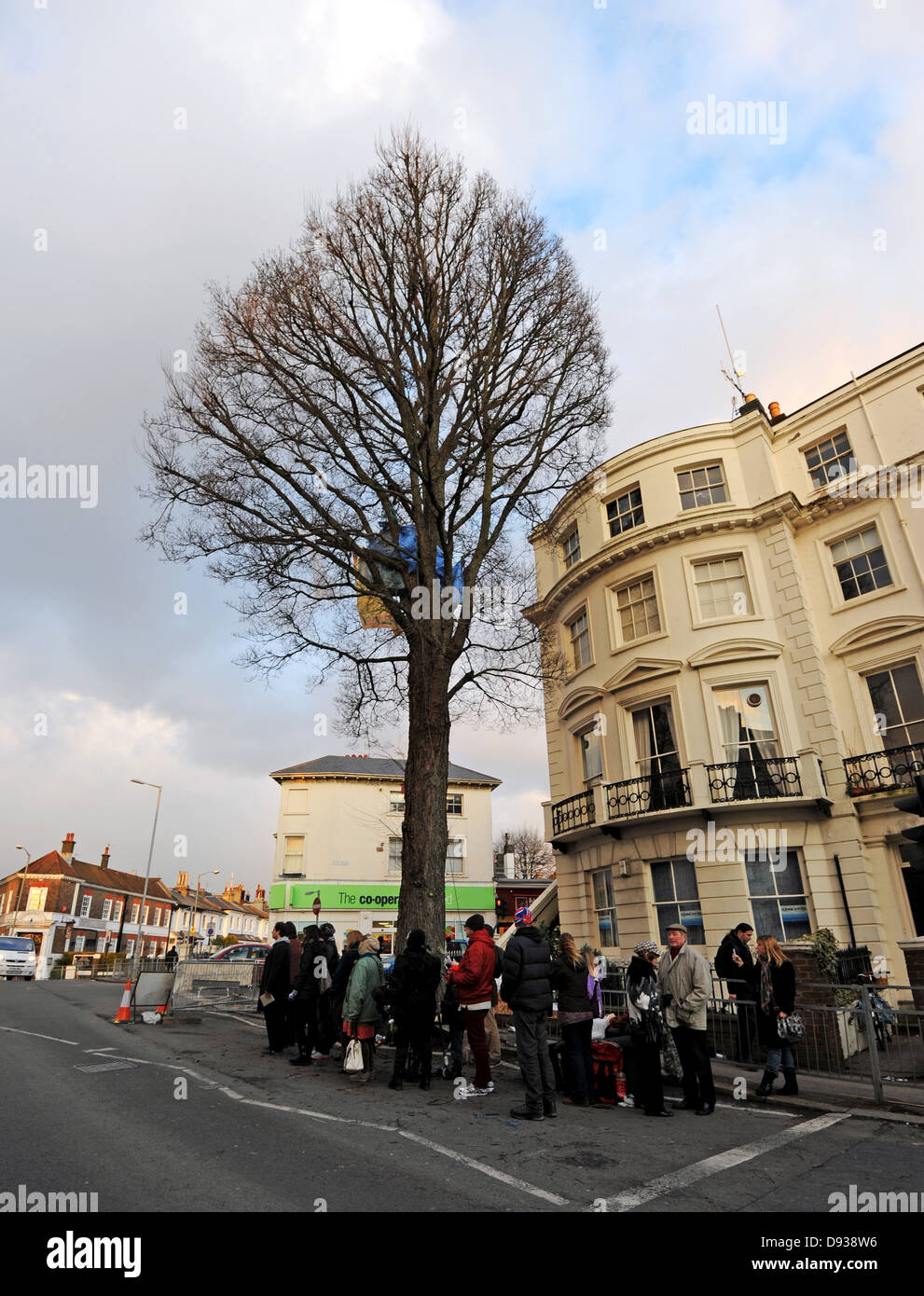 Protesters gather round an Elm tree in Brighton that was due to be ...