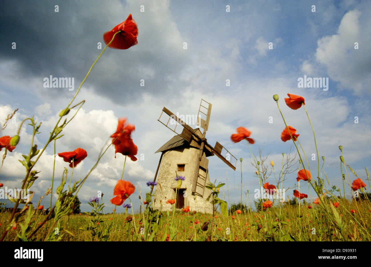 Scenic windmill view hi-res stock photography and images - Alamy