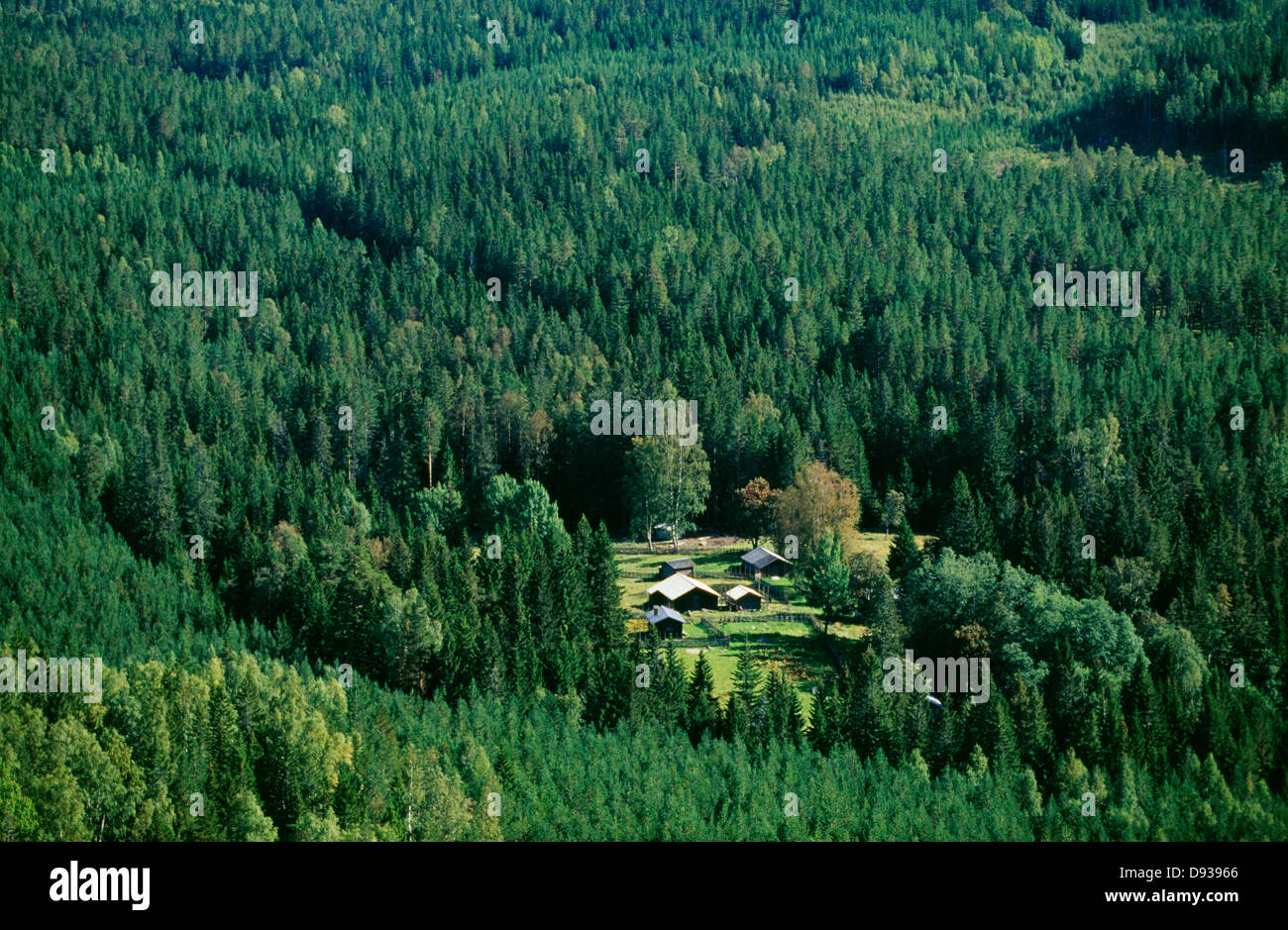 Shack forest hi-res stock photography and images - Alamy