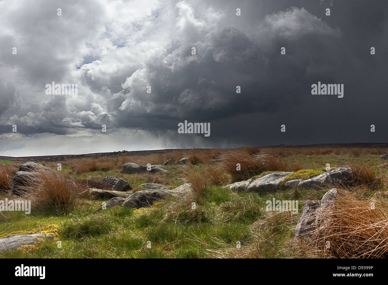 Moor storm hi-res stock photography and images - Alamy