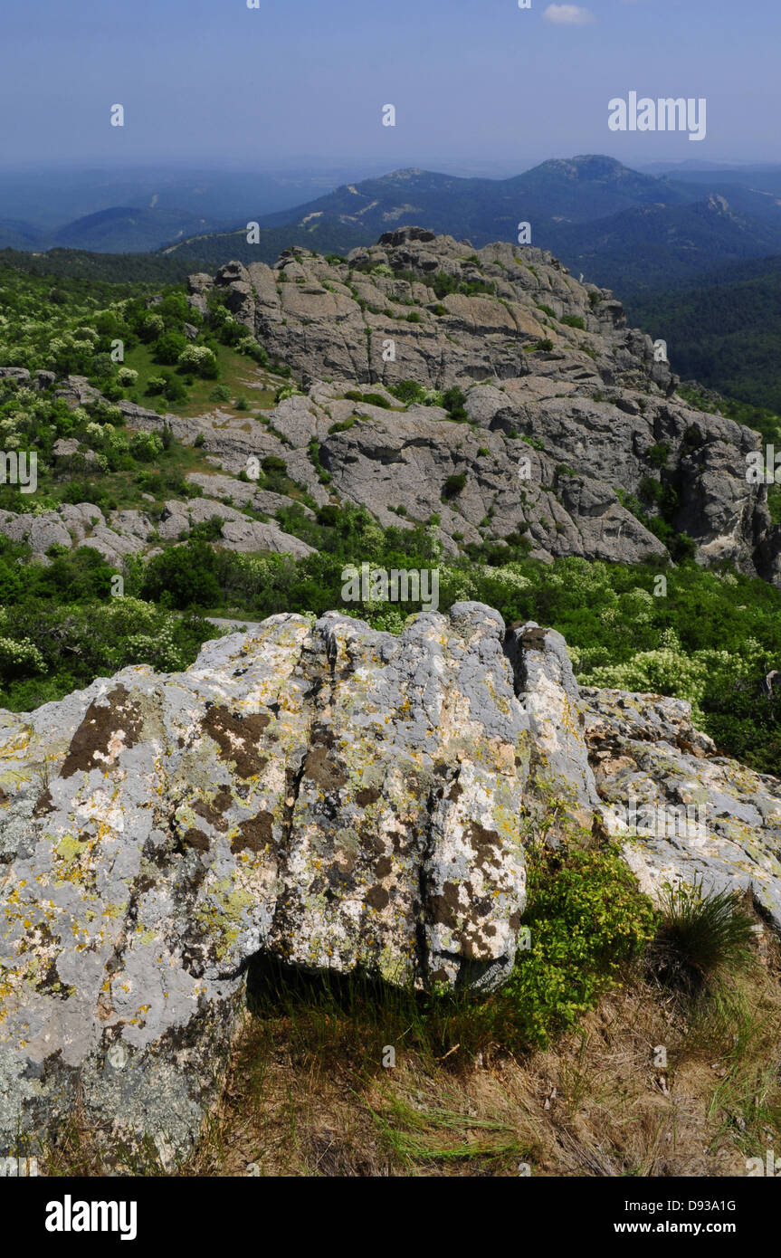 Dadia forest greece hi-res stock photography and images - Alamy